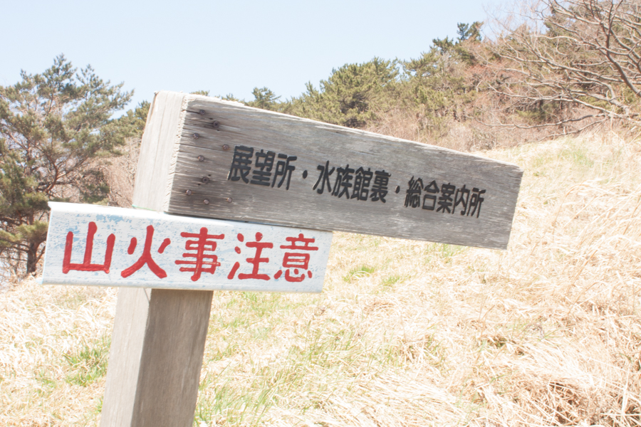 kakusi (10 – 48) – アオモリコネクト